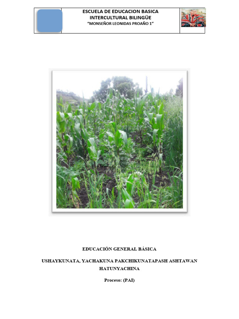 Guía U57-C3 8VO KICHWA | PDF | Modificación de comportamiento | Aprendizaje