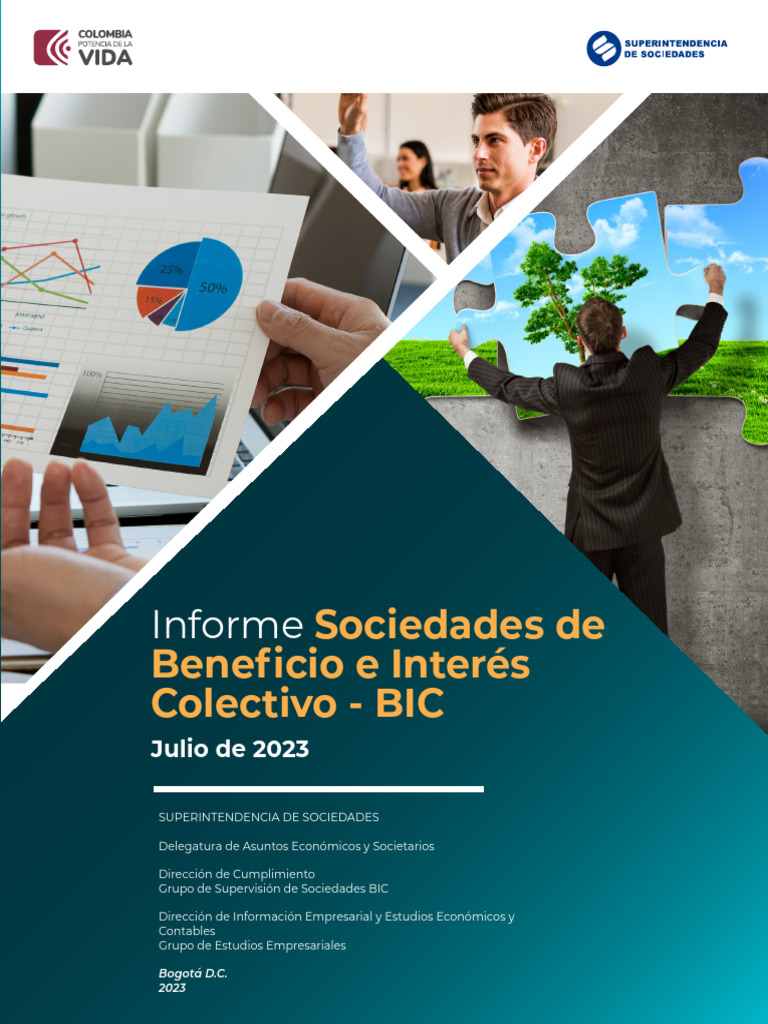 Informe Bic | PDF | Sustentabilidad | Gobierno corporativo