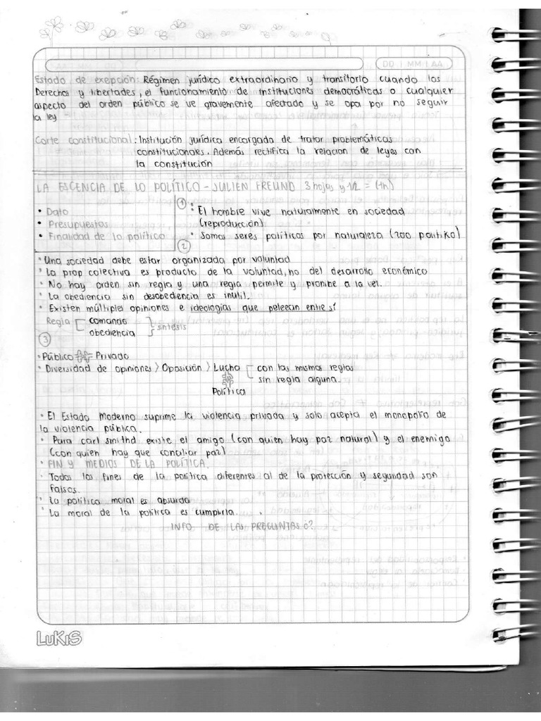 Resumen Del Texto LA ESCENCIA DE LO POLÍTICO de Julien Freund | PDF