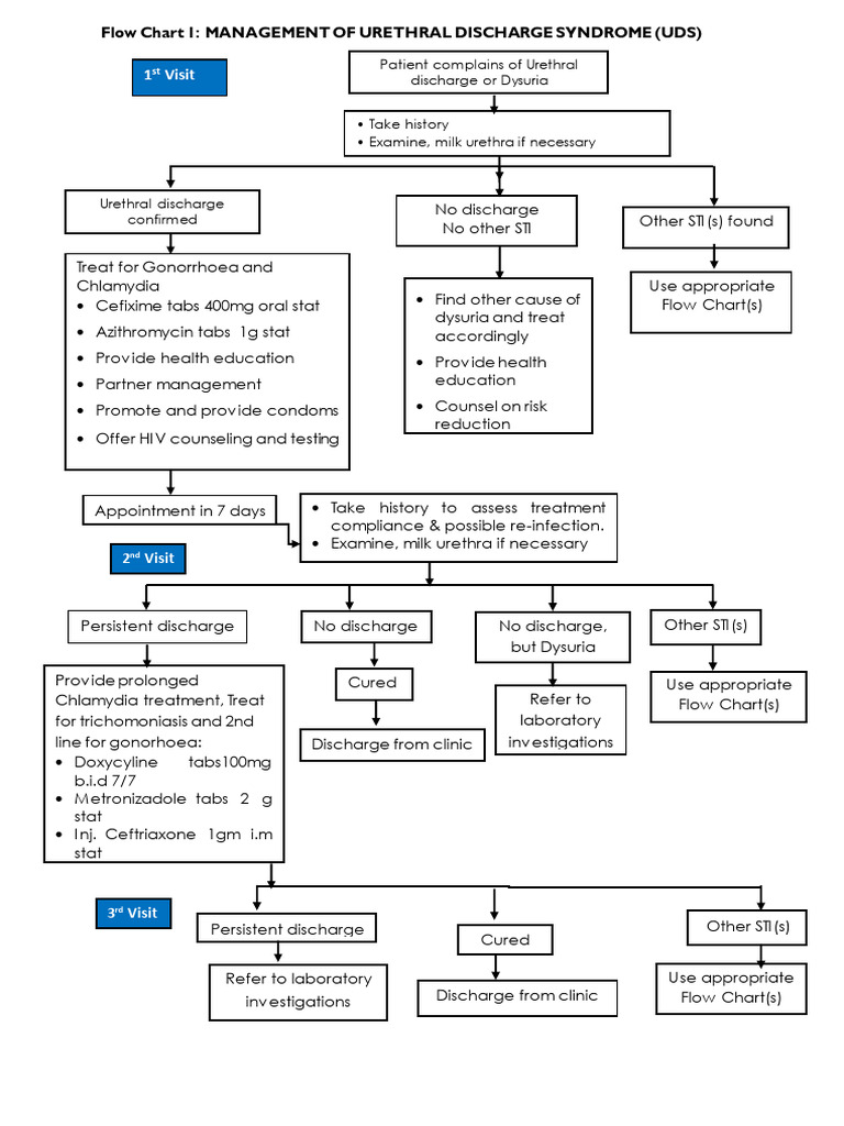 3.b - STI Flow Chart - 28!08!17 | PDF | Sexually Transmitted Infection ...