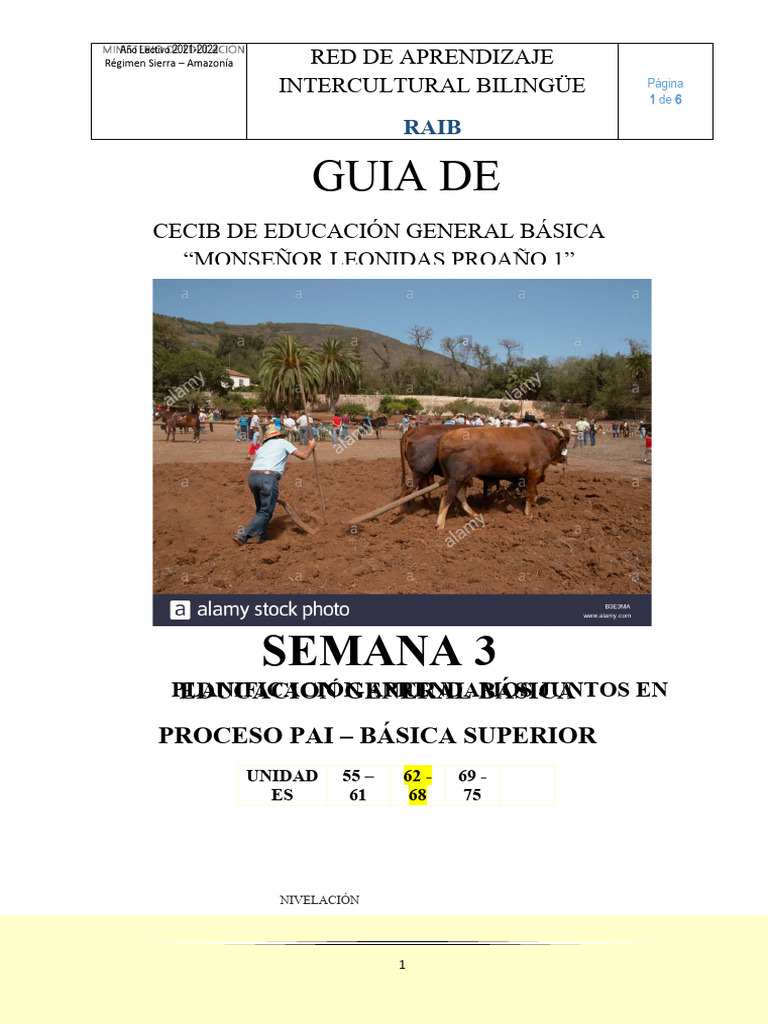 Gid Eca 55 - Octavo Nivelación S3 | PDF