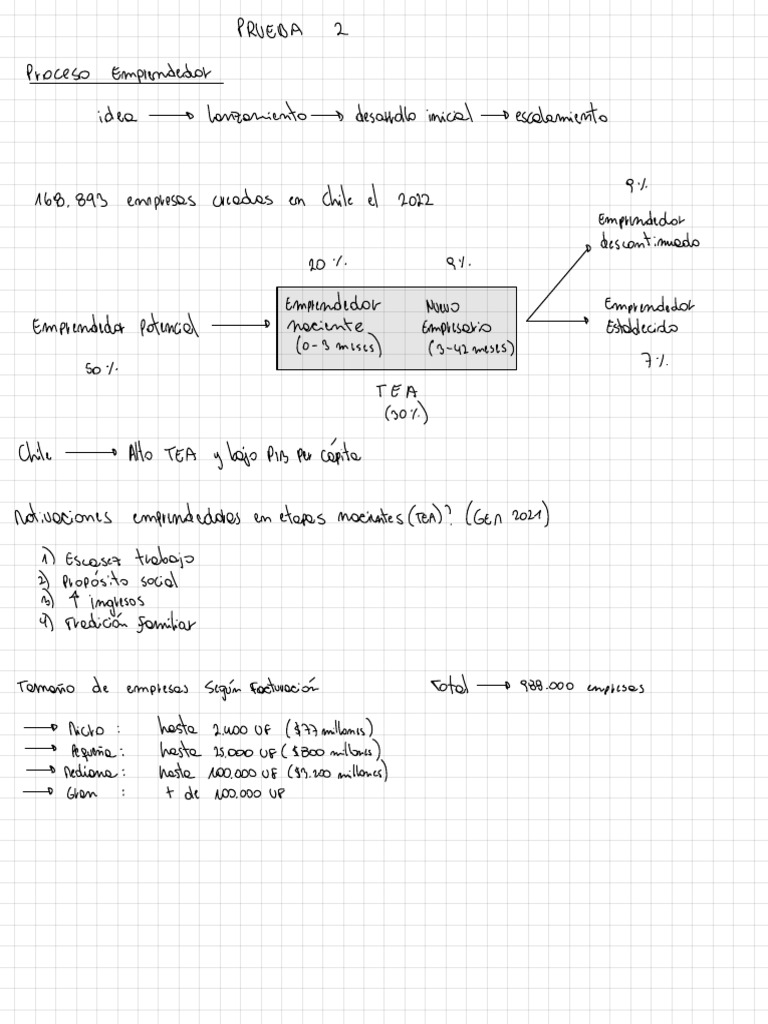 Neg 2 1 | PDF | Iniciativa empresarial | Innovación
