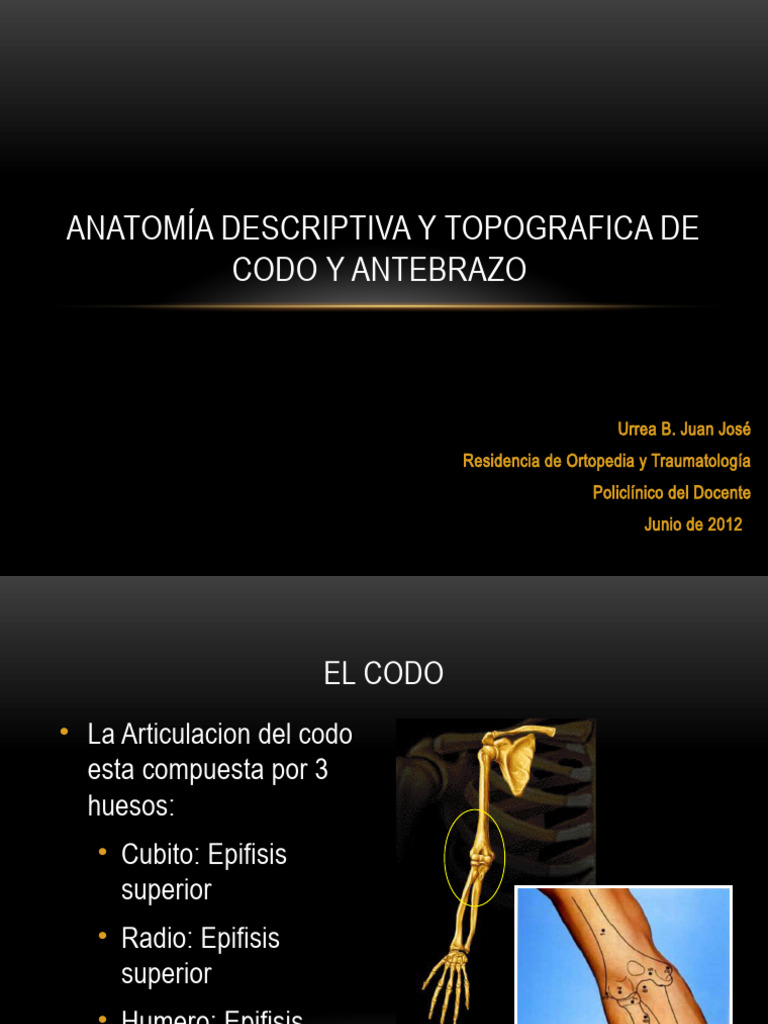 Anatomía Descriptiva y Topografica de Codo y Antebrazo | Descargar gratis PDF | Mano | Codo