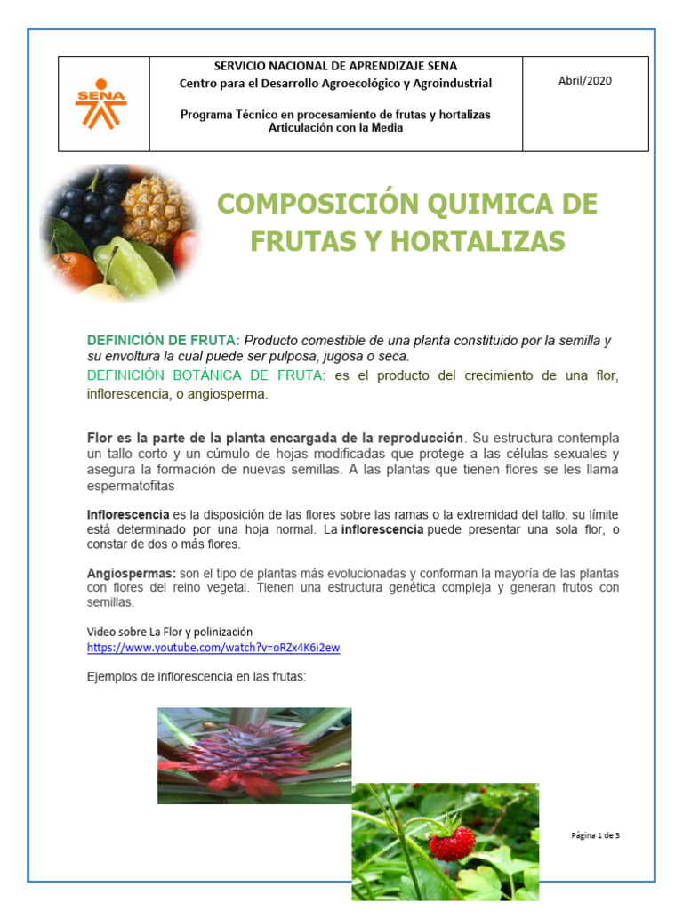 Componentes de Los Alimentos | PDF | Plantas | Flores