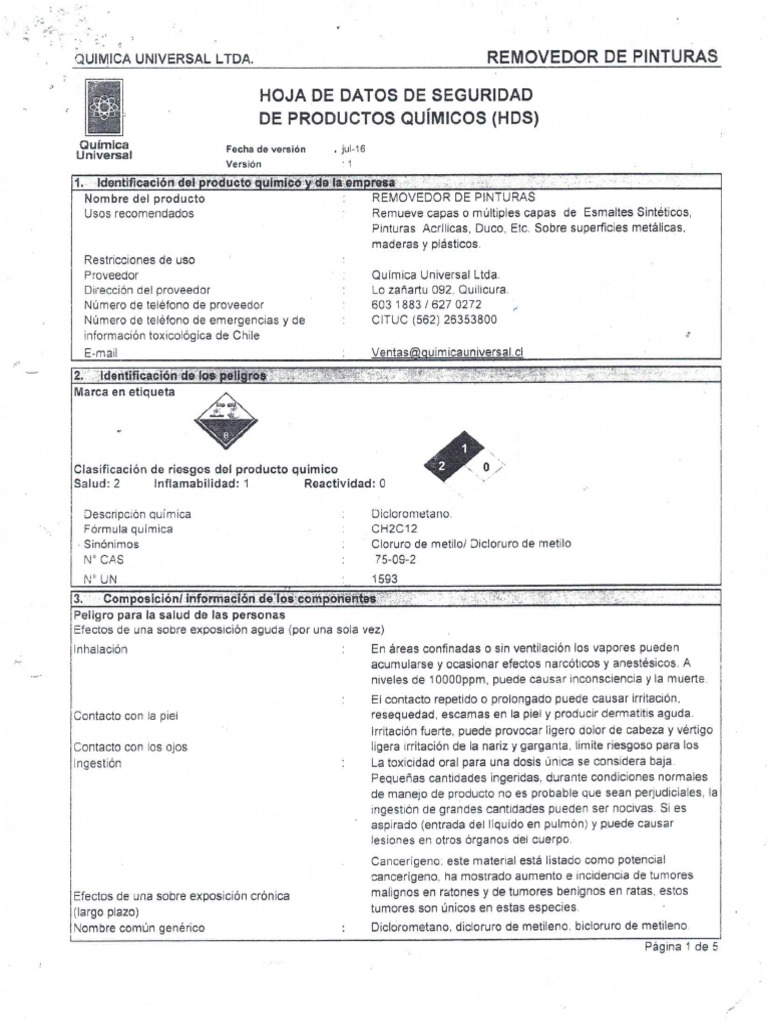 Removedor de Pintura | PDF