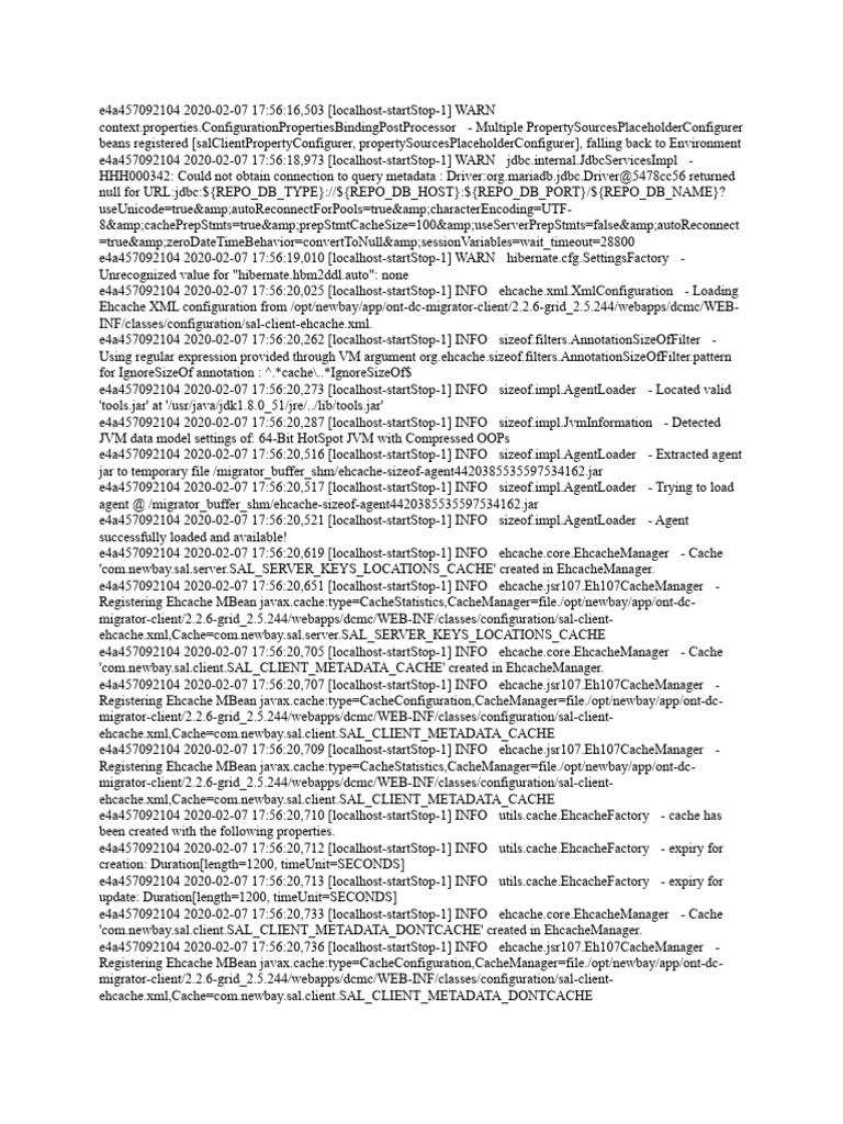 DCMC Application Startup Log | PDF | Java (Software Platform) | Computer Engineering