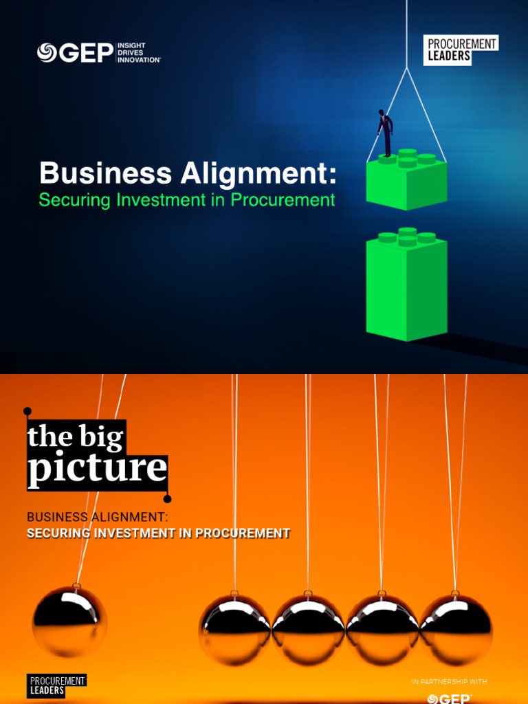 PL Big Picture Procurement Alignment Investment - v2 | PDF | Procurement | Business