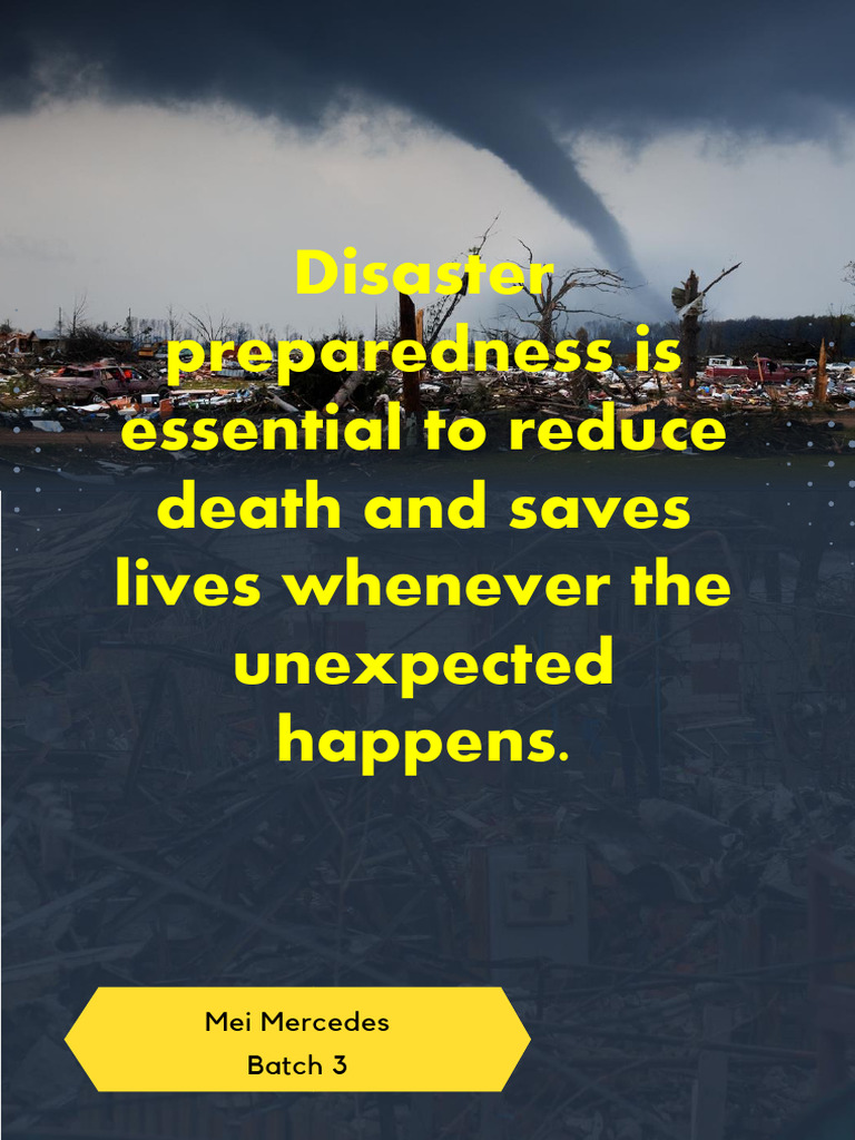 Disaster Preparedness | PDF