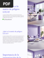 La Pirámide Del Control de Riesgos | PDF | Riesgo | Solvente