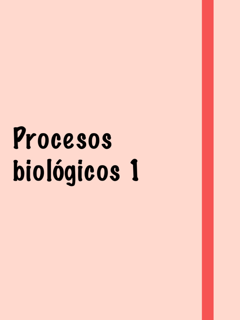 Procesos Biológicos 1 | PDF | Replicación De Adn | Rna