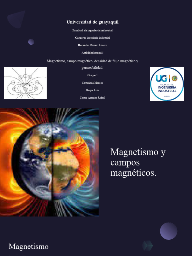 Magnetismo y Campos Magnéticos | PDF | Campo magnético | Magnetismo