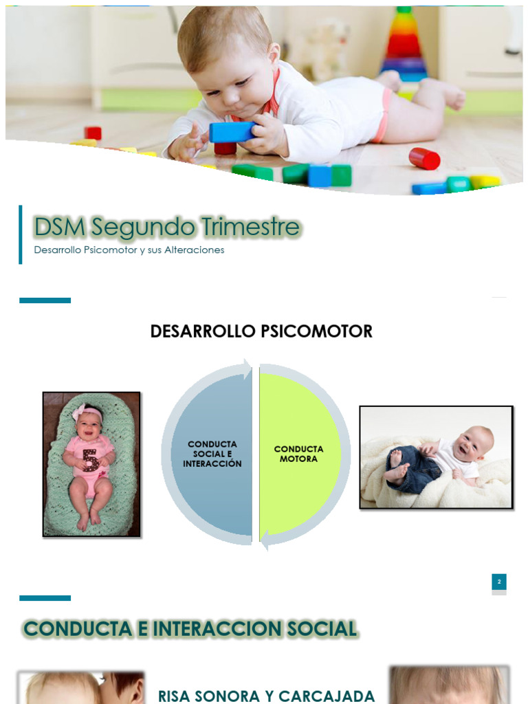 Desarrollo Psicomotor | PDF | Comportamiento | Ciencias del comportamiento