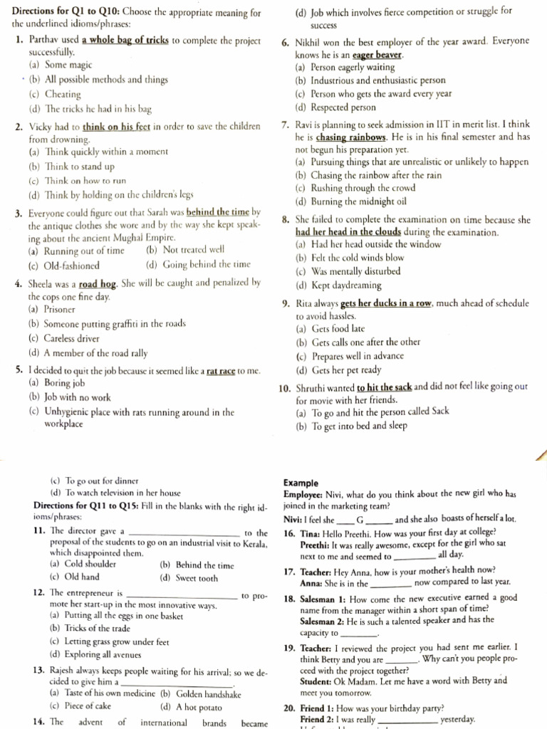 Idioms and Phrases Test Paper | PDF