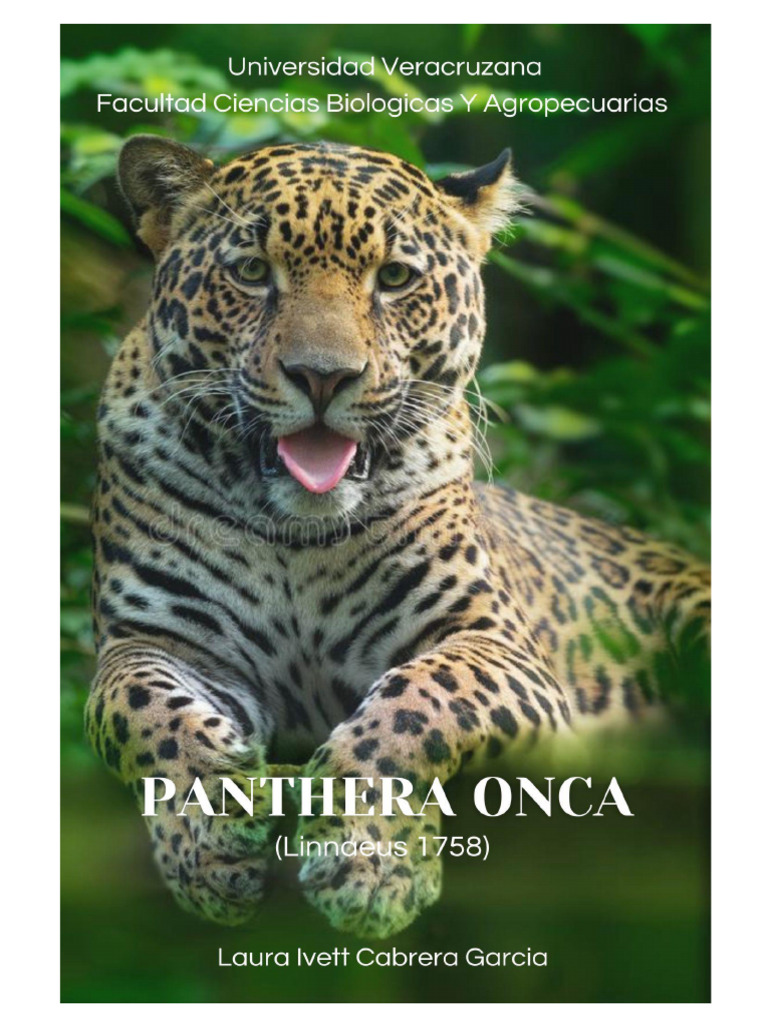 Distribucion_Panthera_onca | Descargar gratis PDF | Jaguar | México