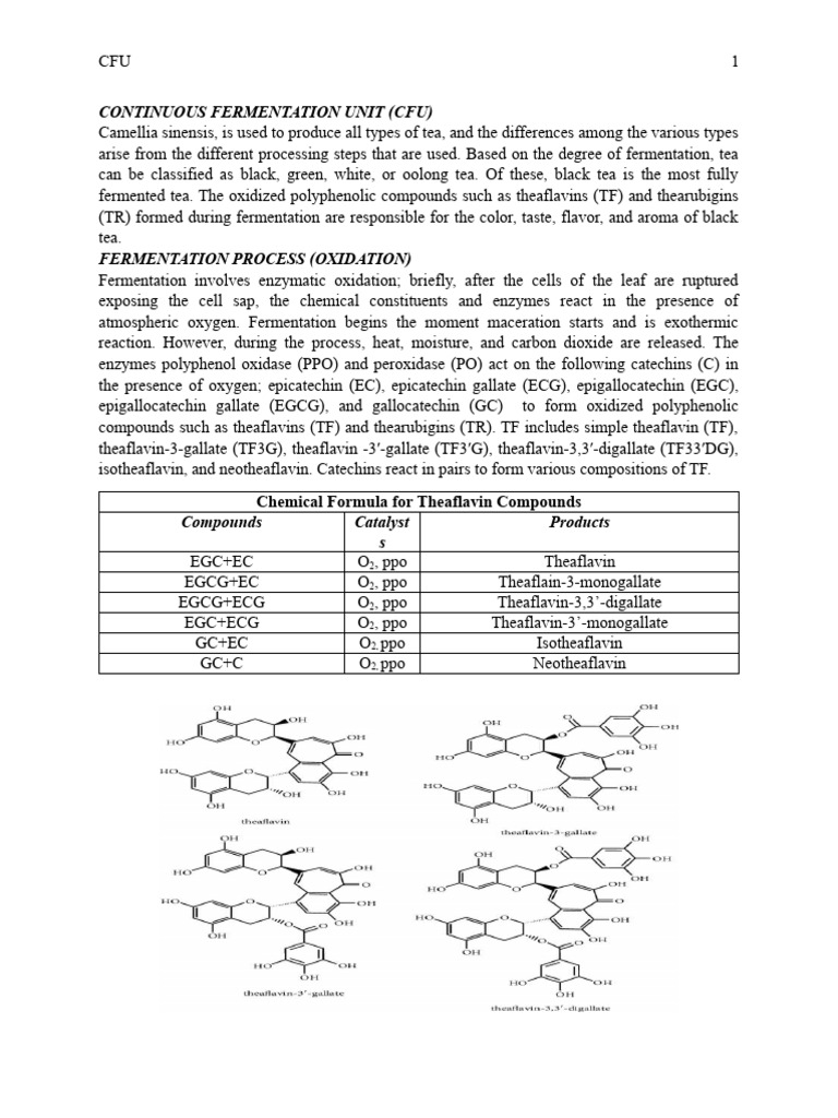 Continuous Withering Unit | PDF | Taste | Fermentation
