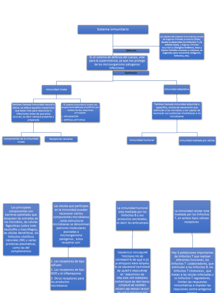 Cepeda Maldonado Christopher-3 | PDF | Sistema inmune | Linfocitos