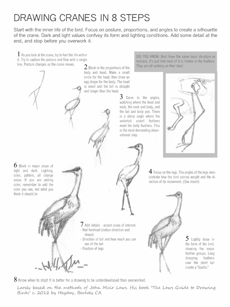 drawing_cranes | PDF