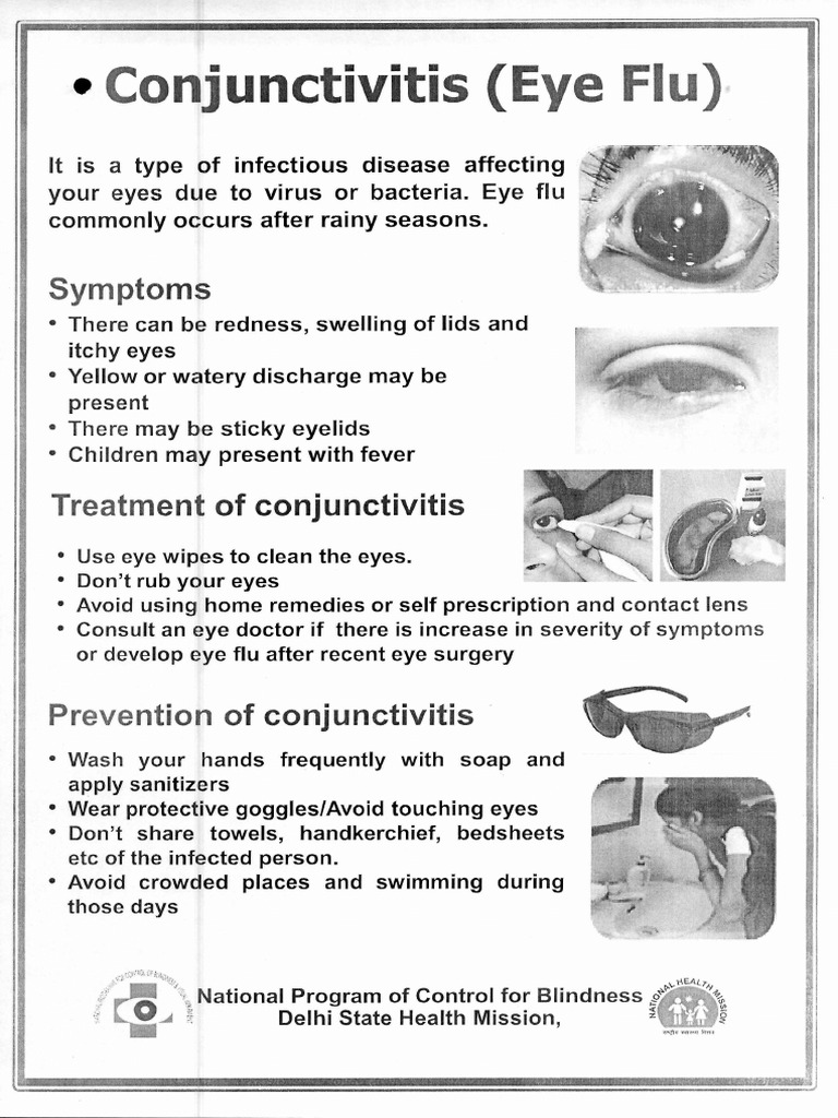 Conju | PDF | Home & Garden
