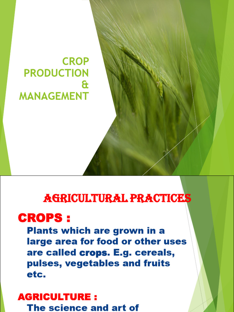 Crop Production & Management Guide | PDF | Crops | Fertilizer