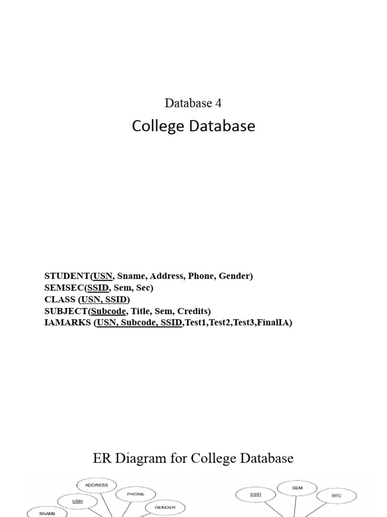 Database4 CollegeDatabase | PDF | Software Design | Data Model