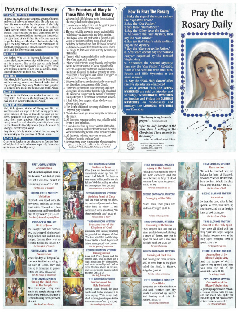 Pray The Rosary Daily | PDF