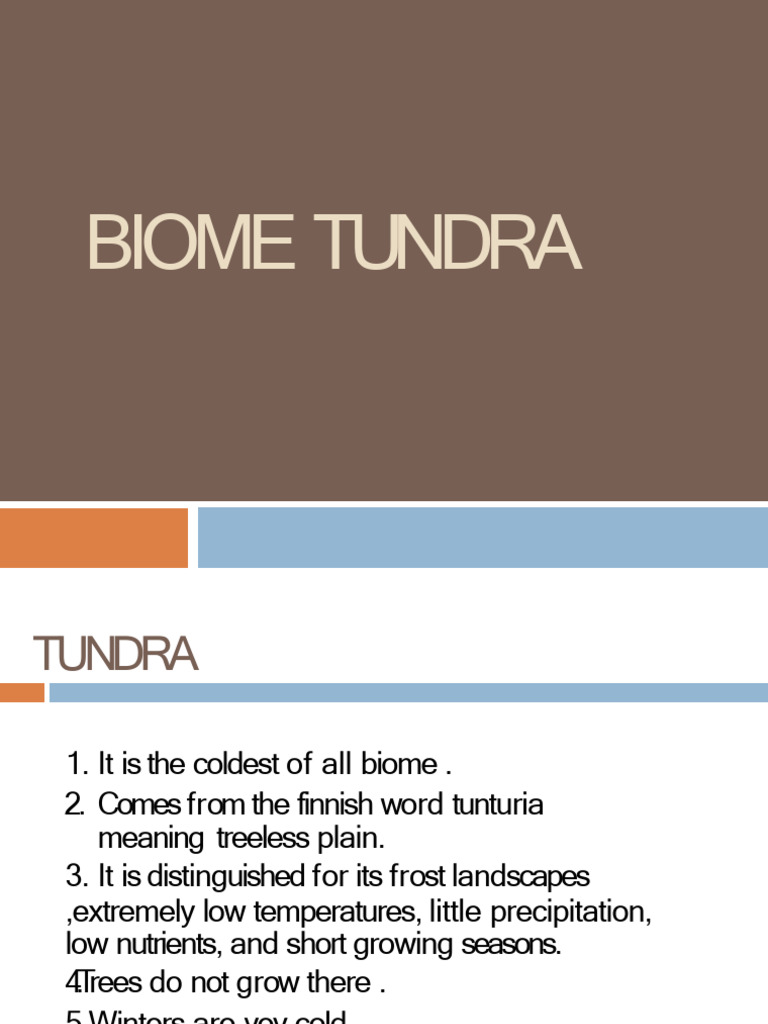 Tundra Biome | PDF | Earth Sciences | Physical Geography