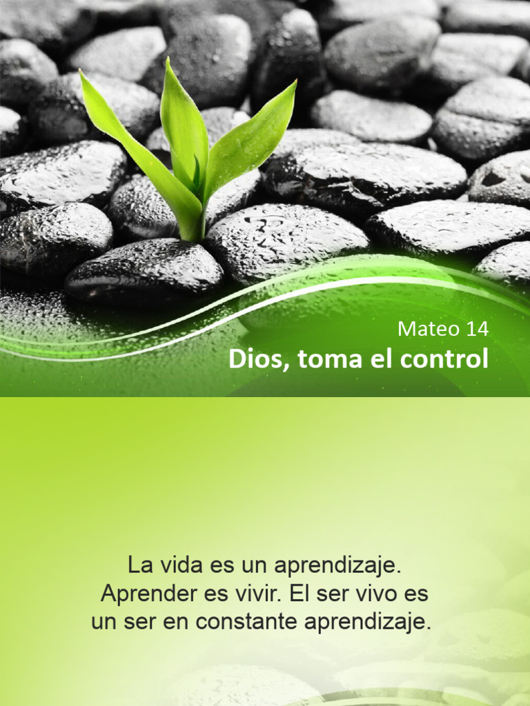 1 - Dios, Toma El Control | PDF | Evangelio de Mateo | Jesús