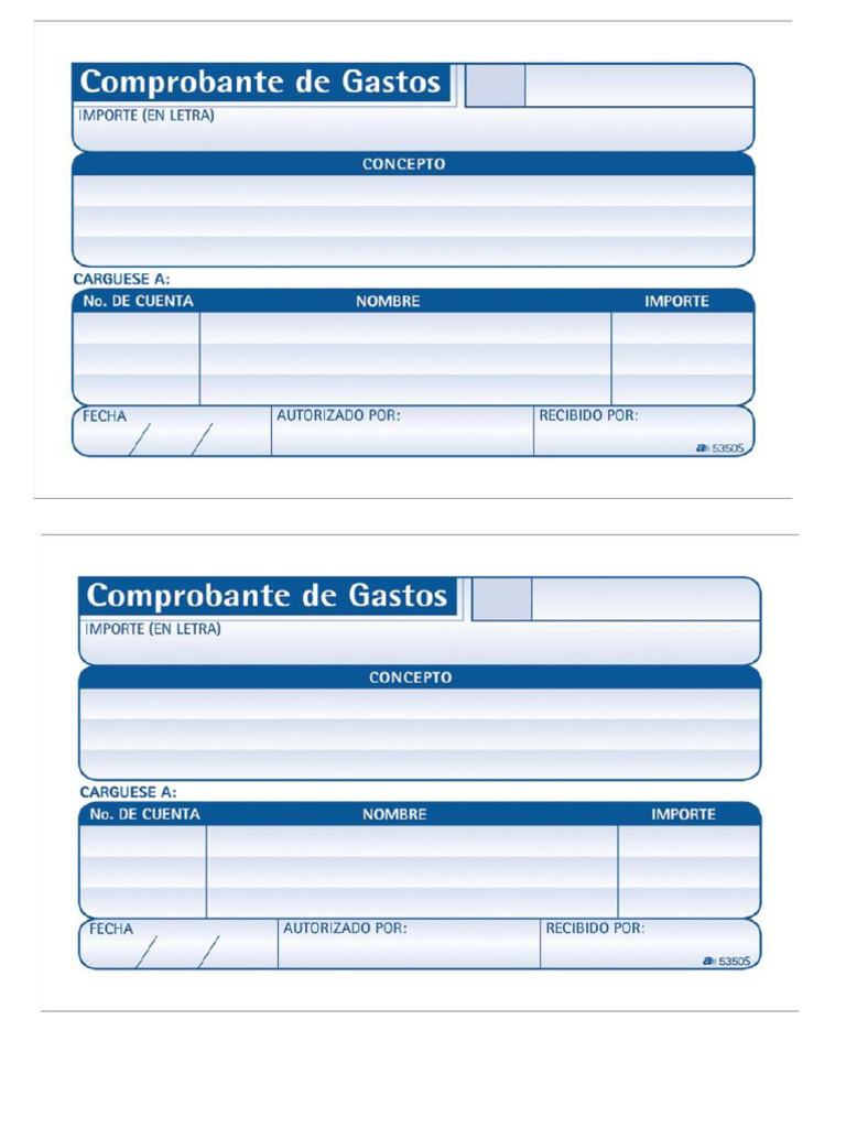 Comprobante de gastos imprimible | PDF