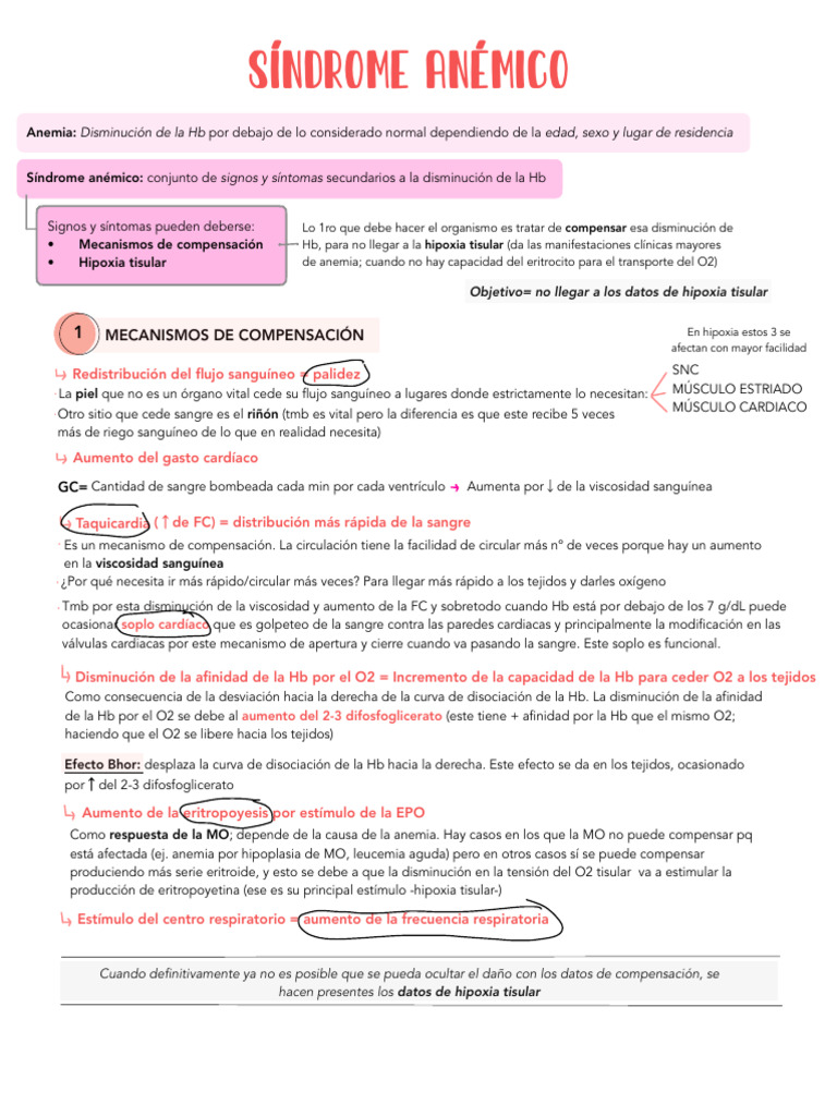 3. SÍNDROME ANÉMICO | PDF | Anemia | Sangre