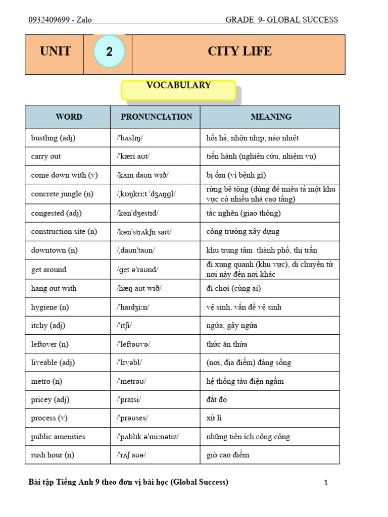 HS CC Unit 2 Lớp 9 GLOBAL SUCCESS | PDF