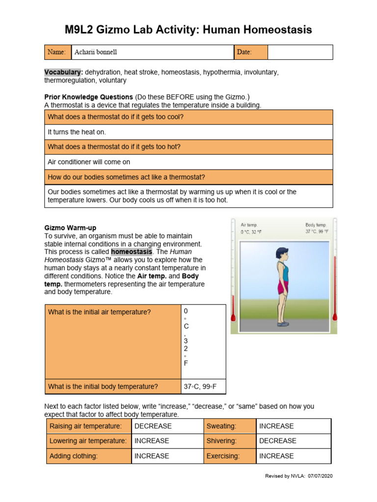 M9L2 Gizmo Lab Activity - Human Homeostasis | PDF | Thermoregulation ...
