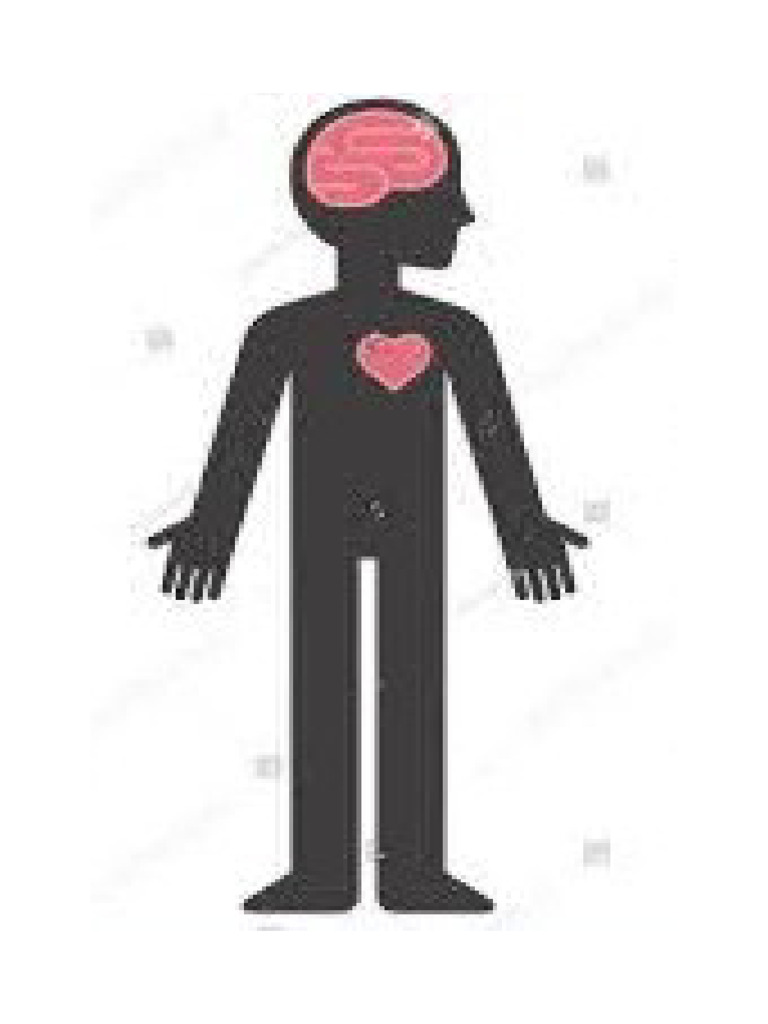 Human Organizer | PDF