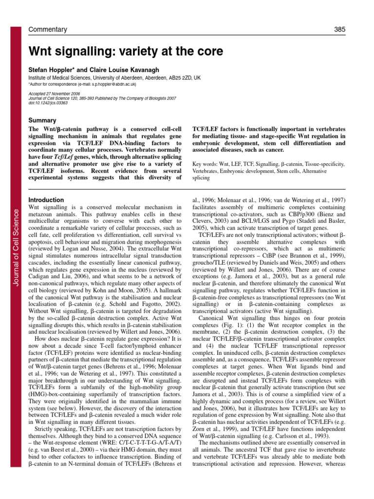 Hoppler, 2007 | PDF | Cellular Differentiation | Cell Signaling