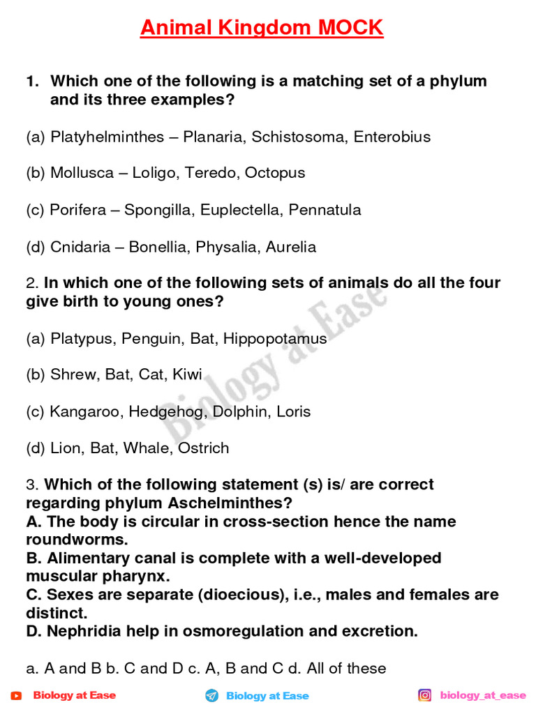 Animal Kingdom MOCK. | PDF | Sponge | Fish