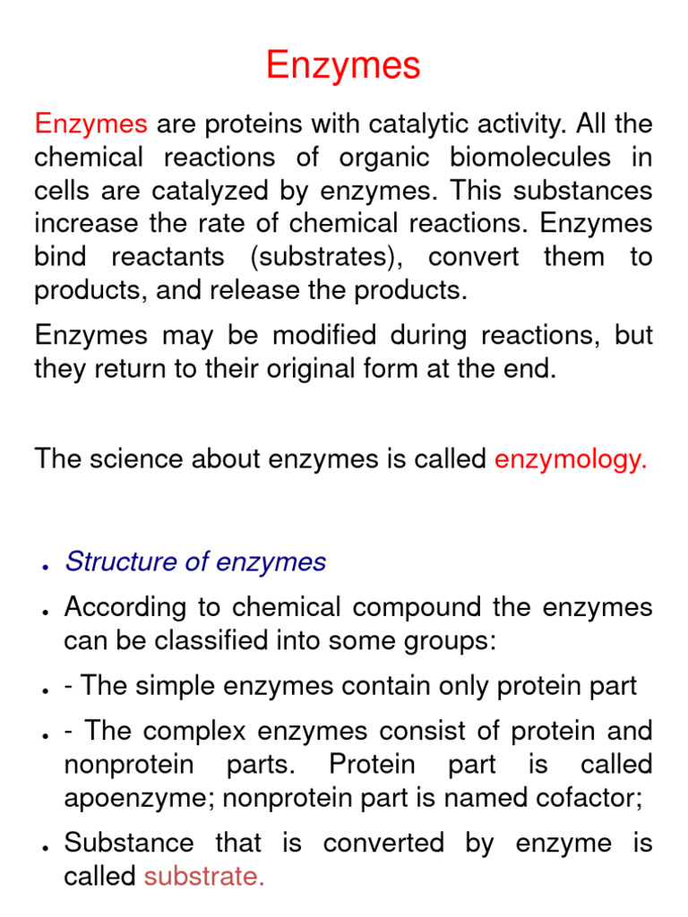 Understanding Enzymes and Vitamins | PDF | Enzyme | Active Site