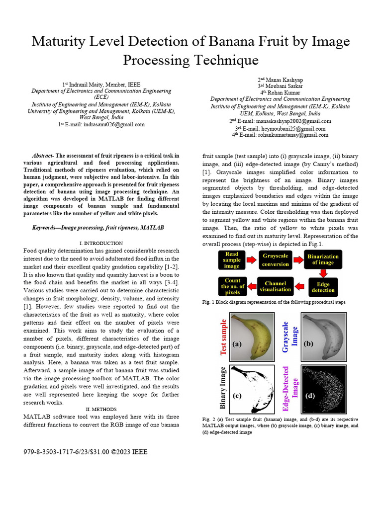 CODEC Final ID 149 Indranil Maity | PDF | Rgb Color Model | Imaging