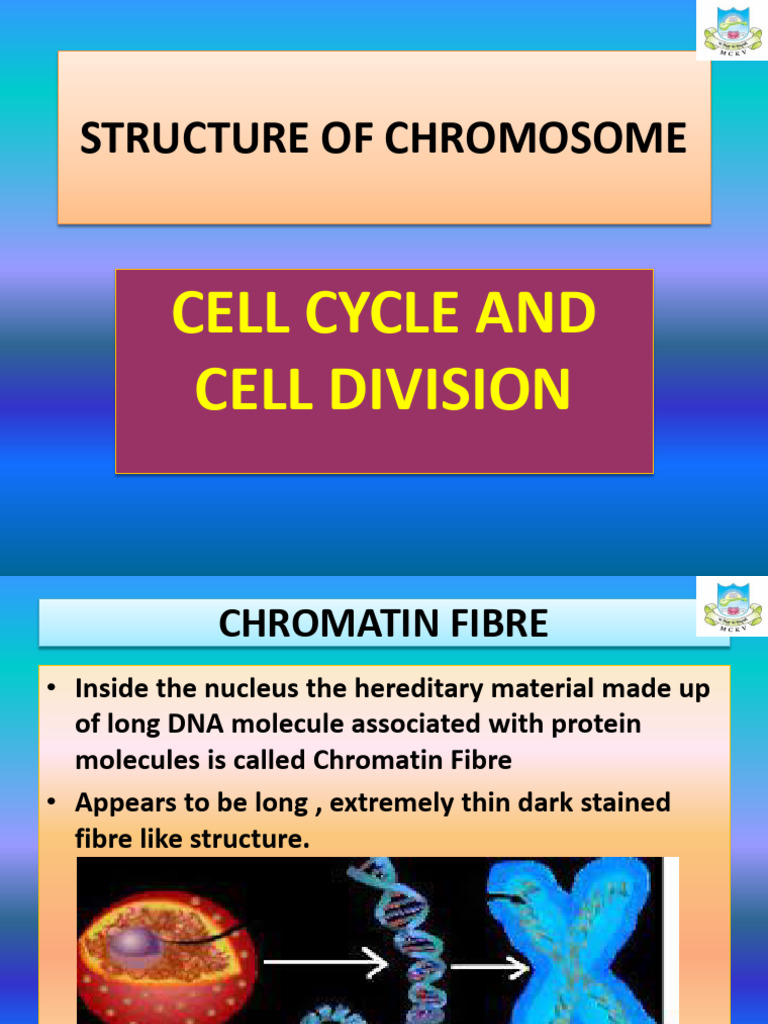 10 PPT Cell Division | PDF | Mitosis | Meiosis