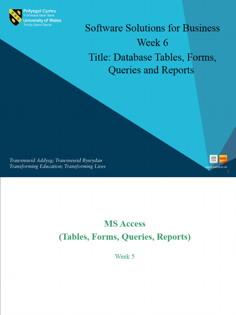 SSB-Database Tables, Forms, Queries and Reports | PDF | Databases | Computing