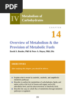 Anaplerosis and Cataplerosis in TCA Cycle | PDF | Diet & Nutrition ...