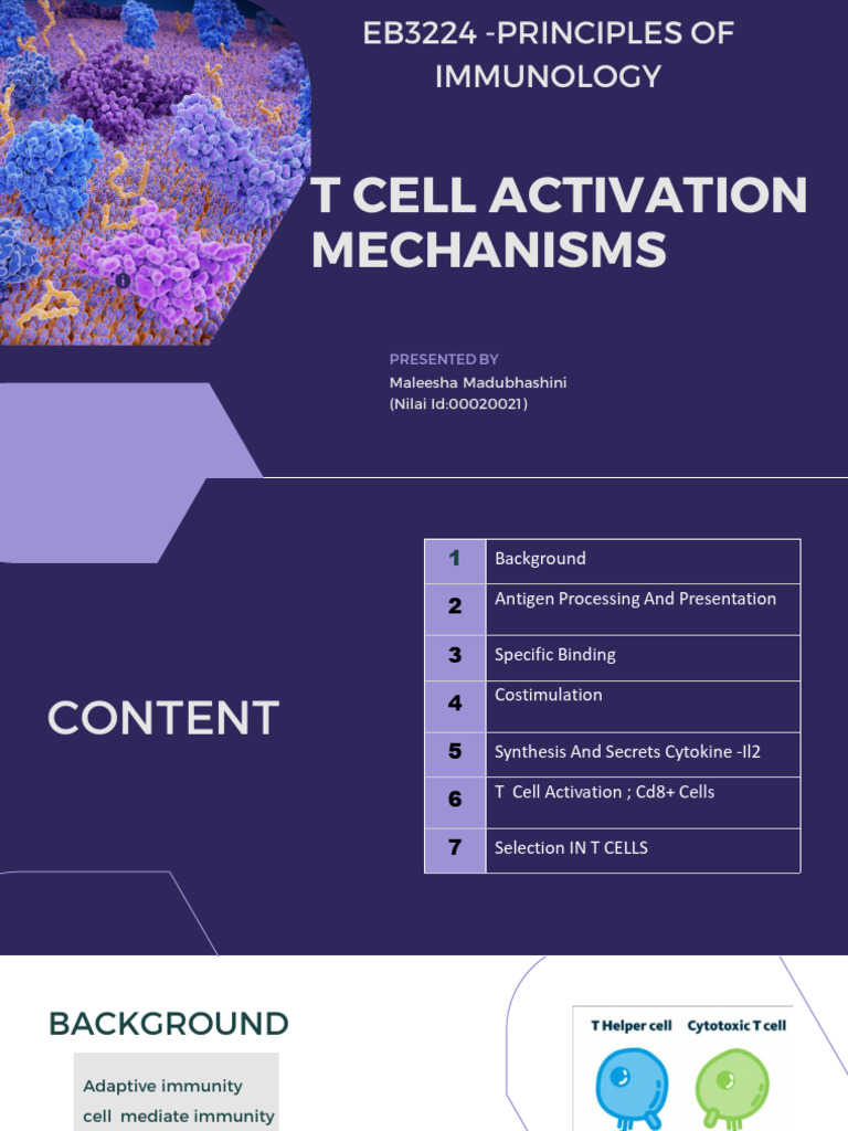 mechanisms of t cell activation | Download Free PDF | T Cell | T Helper Cell
