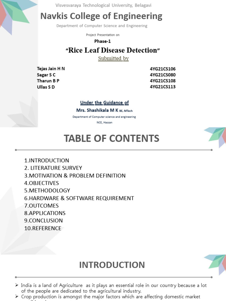 Phase 1-1 | PDF | Machine Learning | Rice