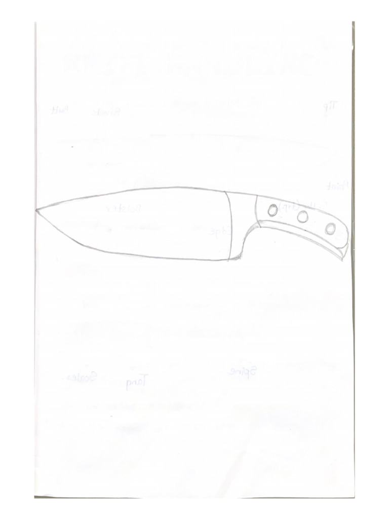 Culinary Foundation Journal Notes | PDF