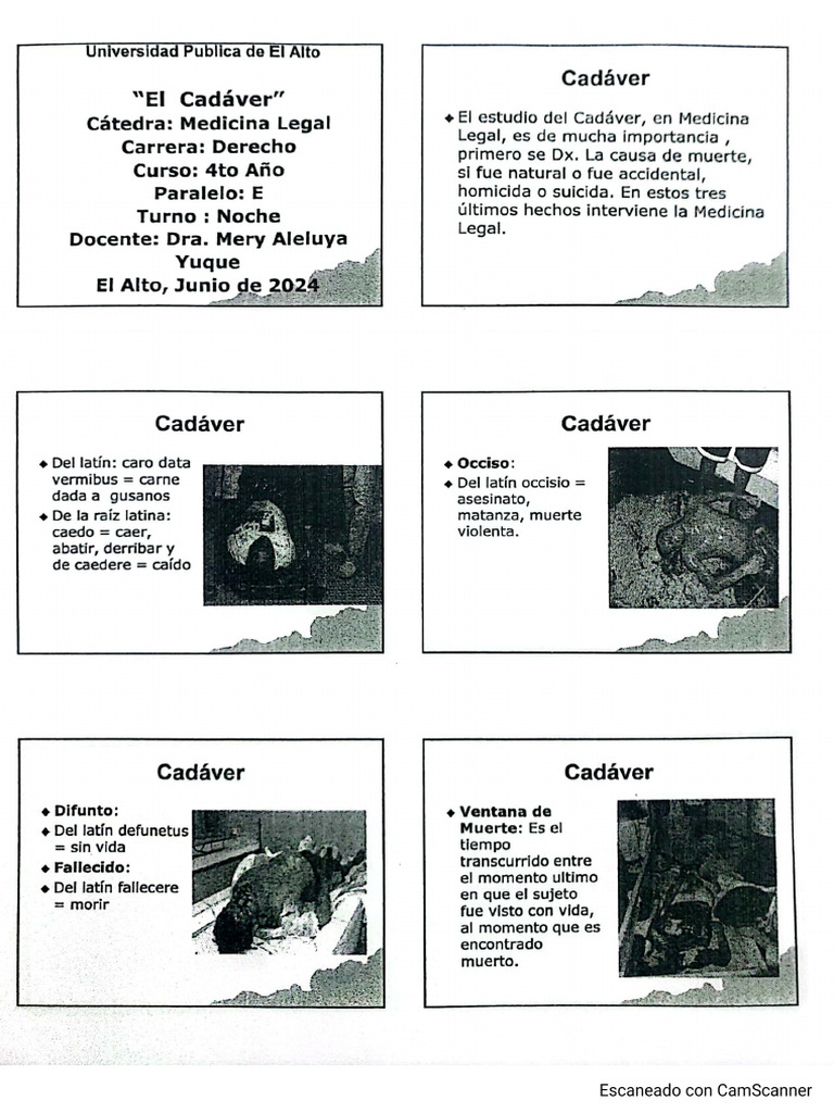 CADÁVER | PDF