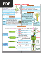 Morphology of Flowering Plants Annotated NCERT | PDF