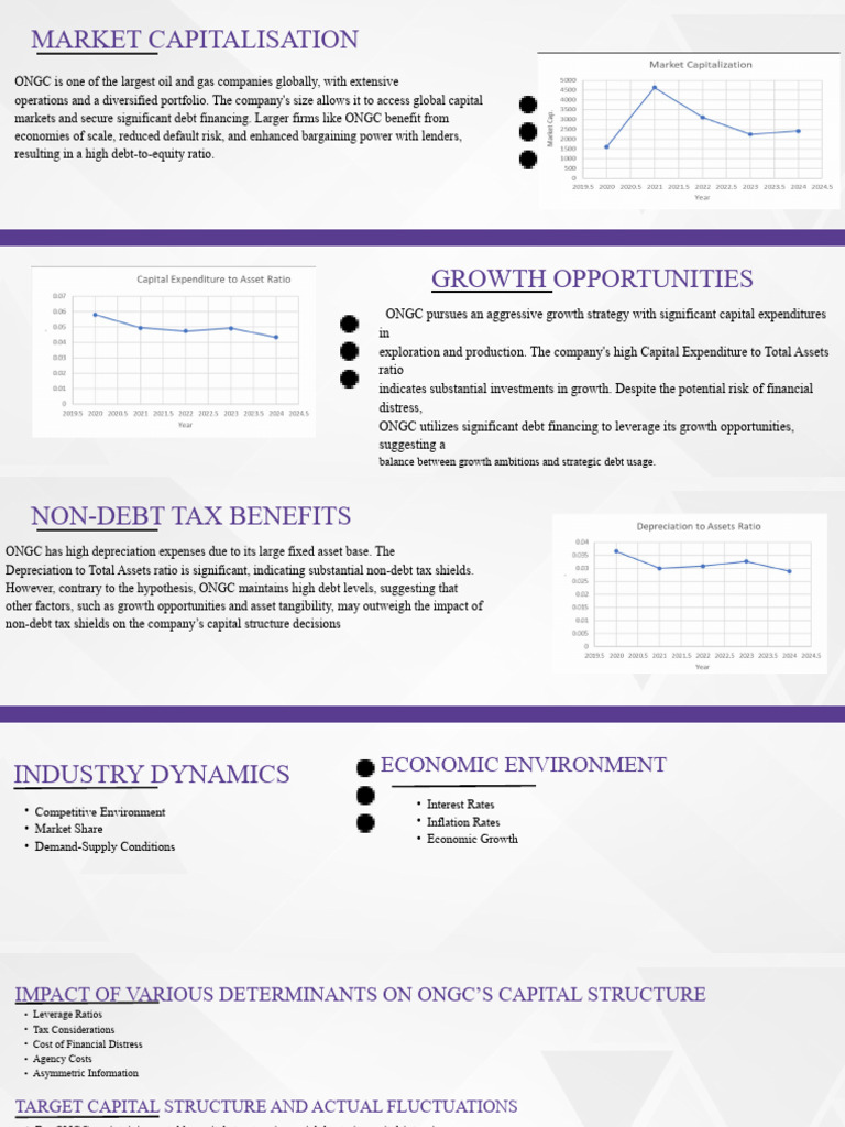 Purple & White Business Profile Presentation | PDF | Capital Structure | Financial Risk
