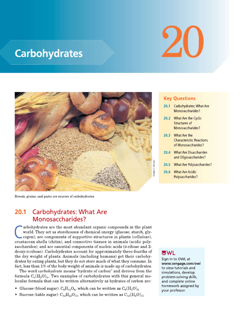 Biochem Bettelheim Carbo Ch20 | PDF