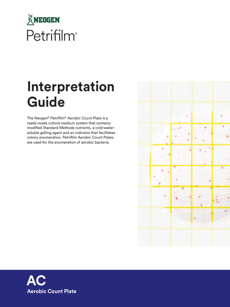 Interpret Guide - AC Plate | PDF