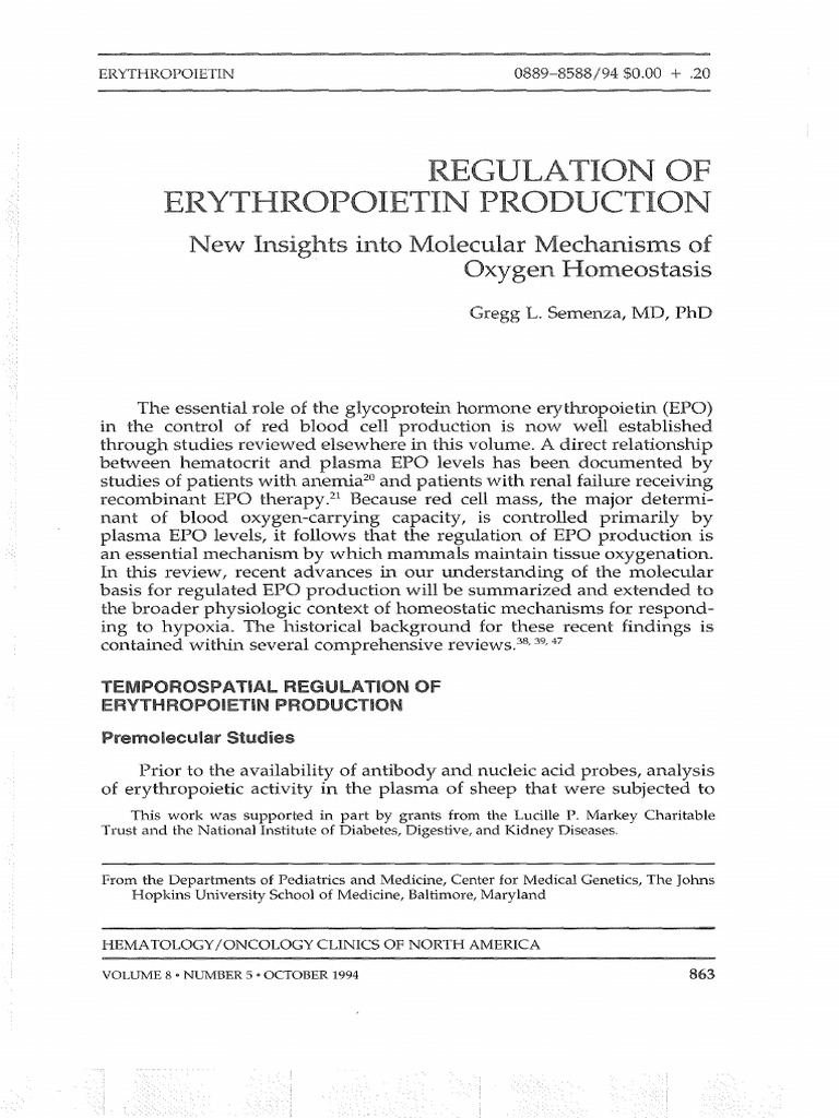 Erythropoietin Production Regulation Insights | PDF | Gene Expression ...