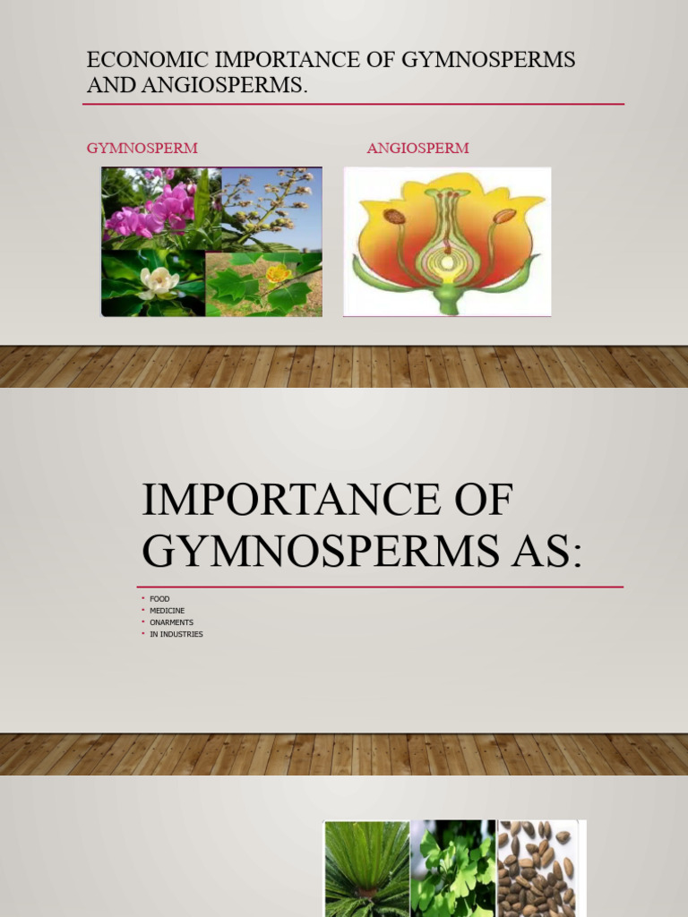 Botany Presentation Pdf