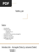 Anatomía del Maléolo Interno del Tobillo | PDF | Tobillo | Anatomía del ...
